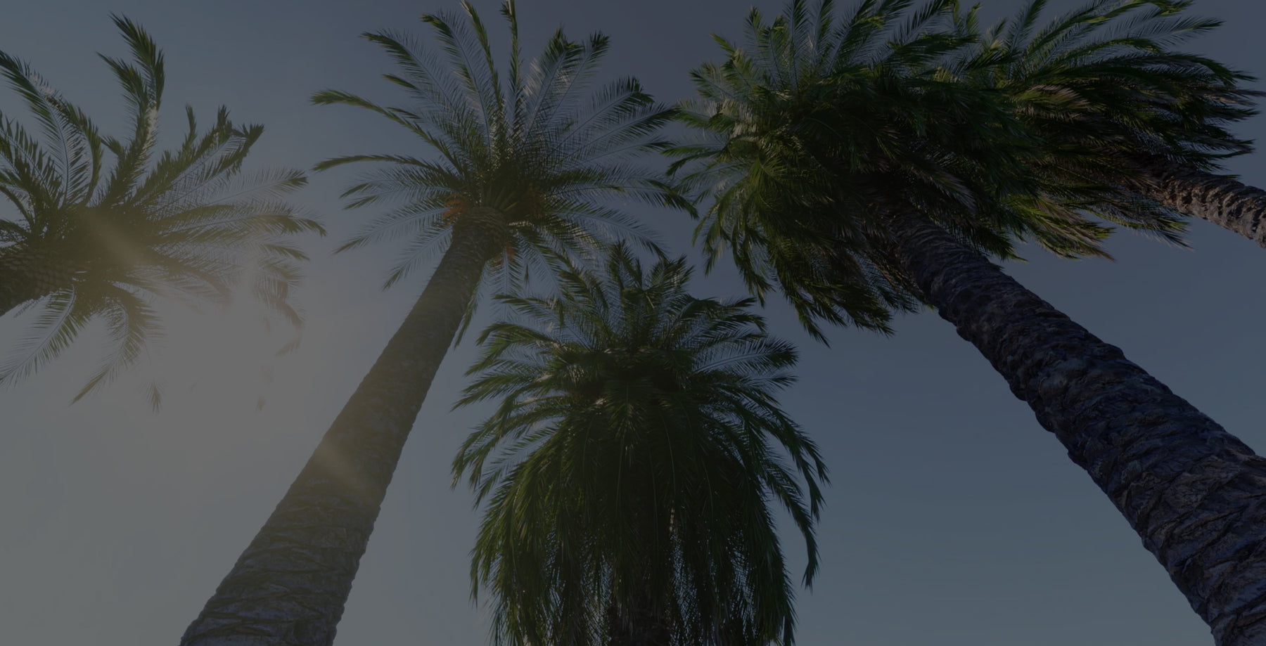 3D Plant Models Library | Photorealistic VR & CG Plants | Globe Plants