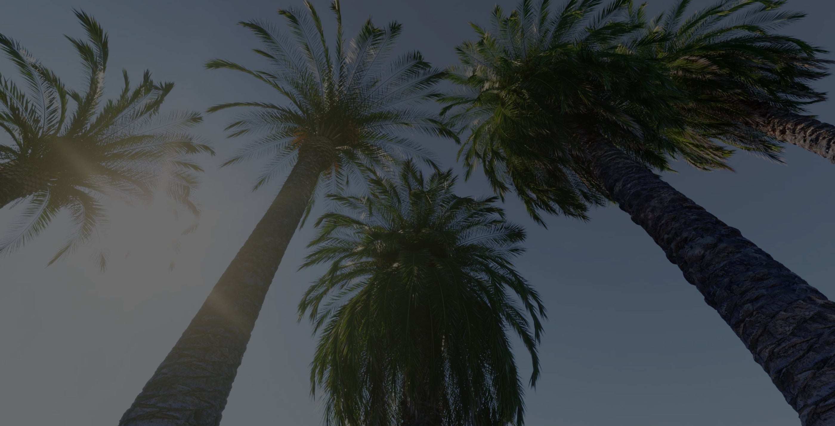 3D Plant Models Library | Photorealistic VR & CG Plants | Globe Plants