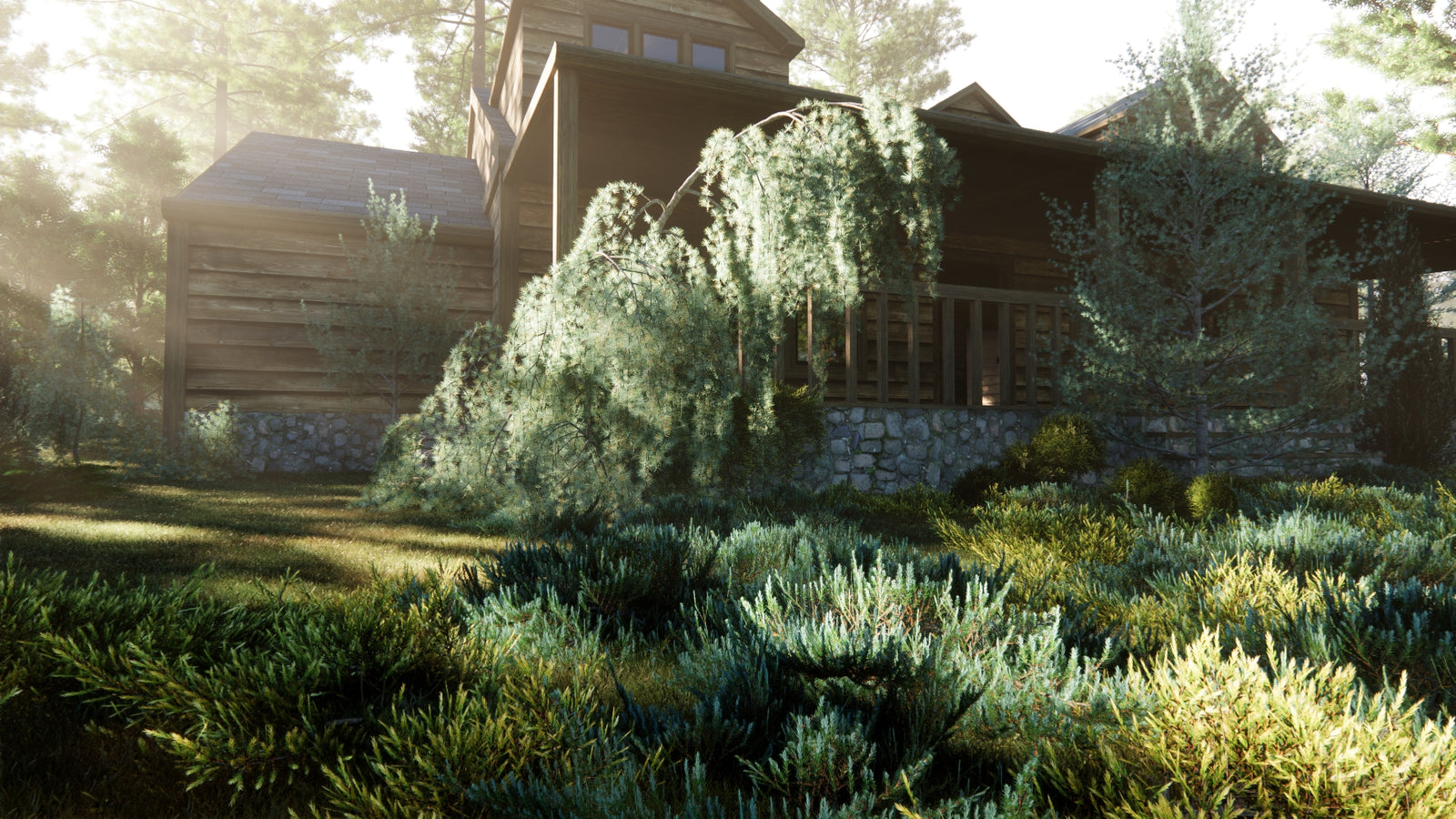 3D Conifer Garden Bundle 10 | Enscape | Twinmotion - Globe Plants