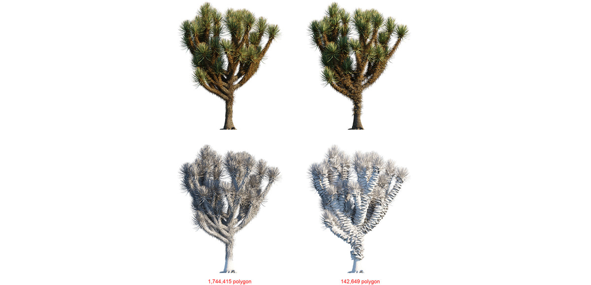 Low Poly | Bundle 11 - Desert Plants 3D Model - GlobePlants