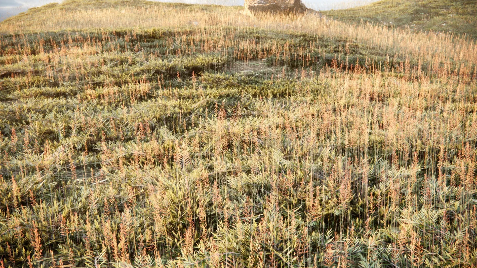 3D Lawn Grass Bundle 13 | Enscape | Twinmotion - Globe Plants