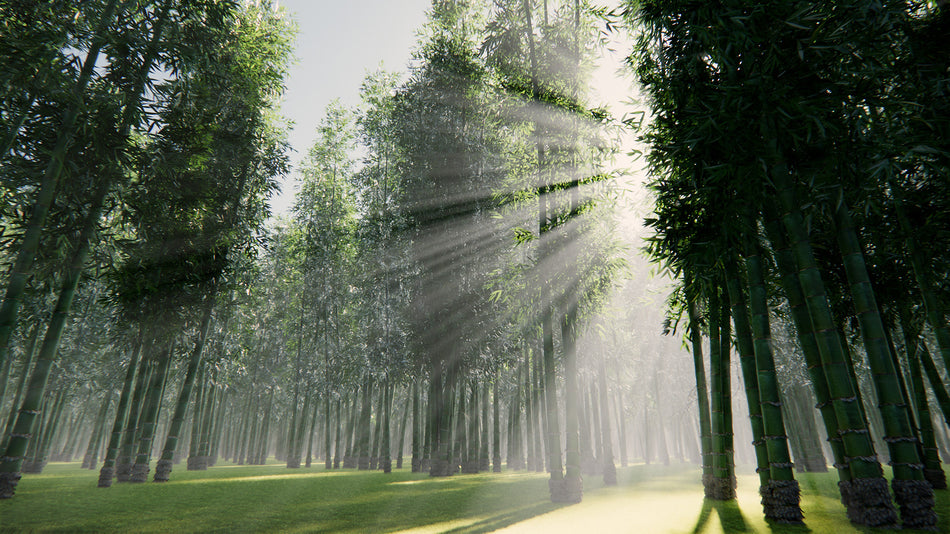 3D Plant Models Library | Photorealistic VR & CG Plants | Globe Plants