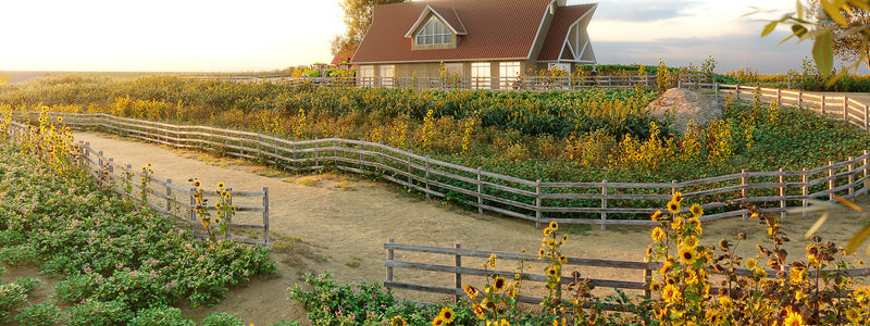 3D Plant Models Library | Photorealistic VR & CG Plants | Globe Plants