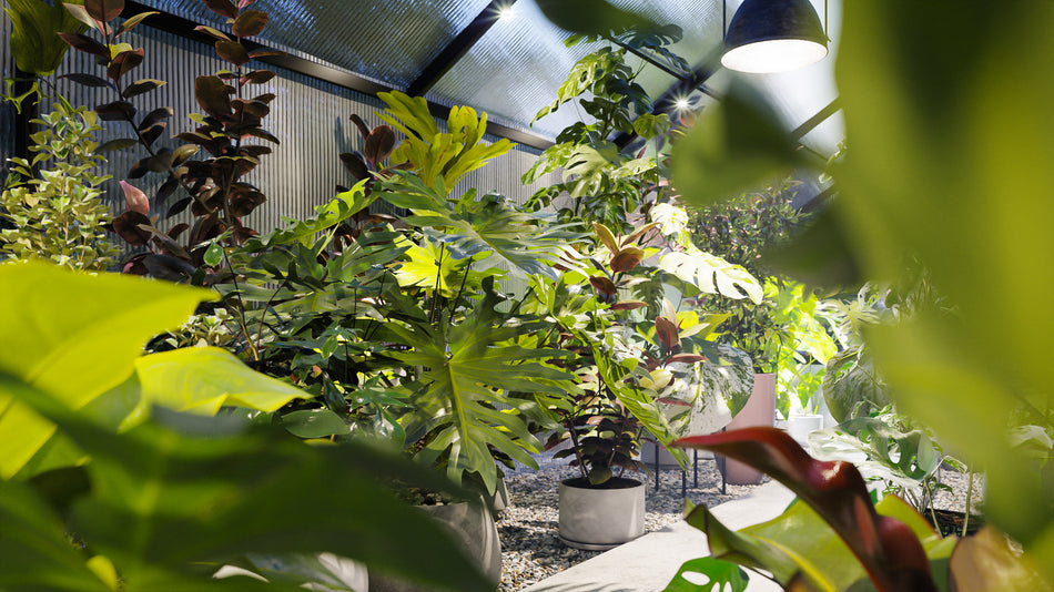 3D Plant Models Library | Photorealistic VR & CG Plants | Globe Plants